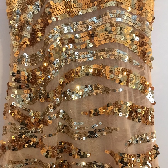 Wildcat | Tops | Wildcat Gold Sheer Sequins Tank | Poshmark